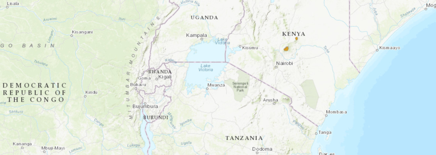 Atheris desaixi - Vipère des buissons du Kenya - Vipère des buissons de ...