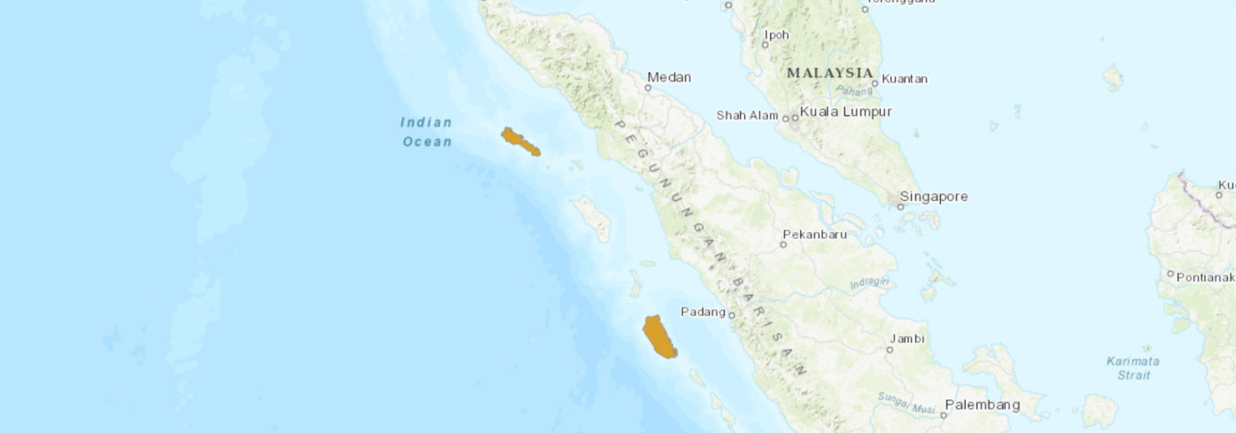 Trimeresurus brongersmai - Crotale de Brongersma - Fiche - Fer de lance ...