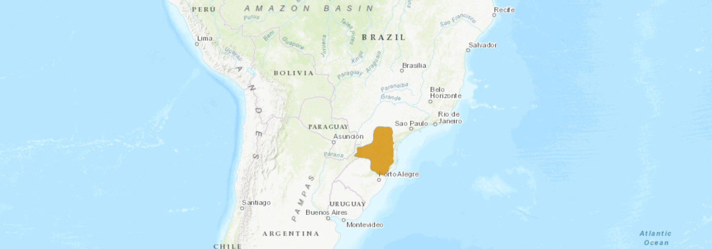 Bothrops cotiara - Serpent venimeux - Trigonocephale / Fer de lance de ...