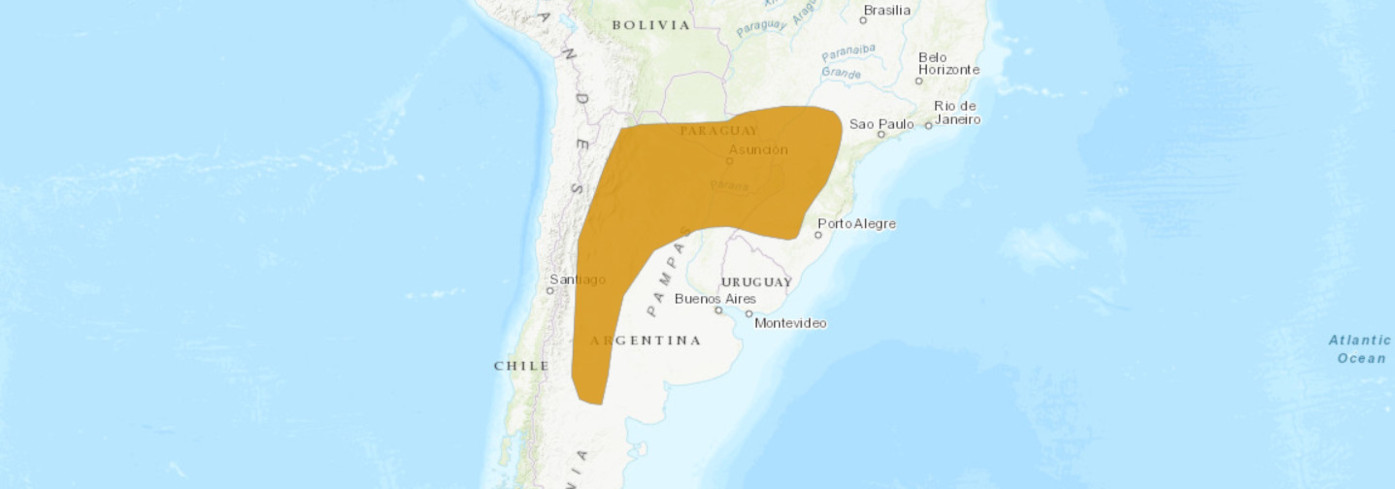 Bothrops diporus - Serpent venimeux - Trigonocephale / Fer de lance ...