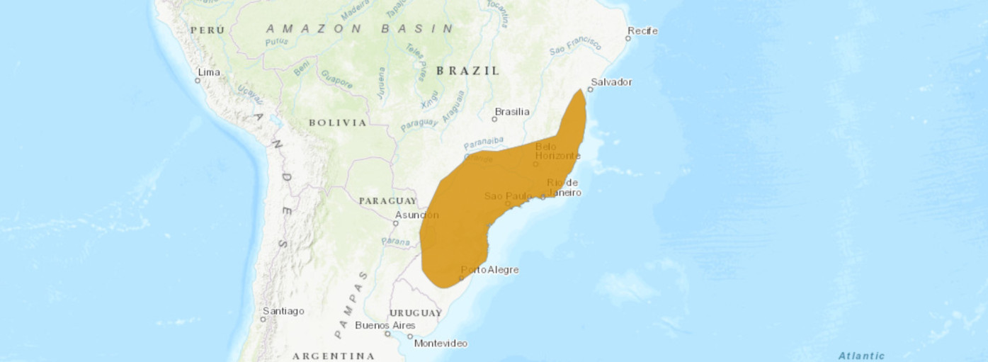 Bothrops jararaca - Serpent venimeux - Trigonocephale / Fer de lance ...