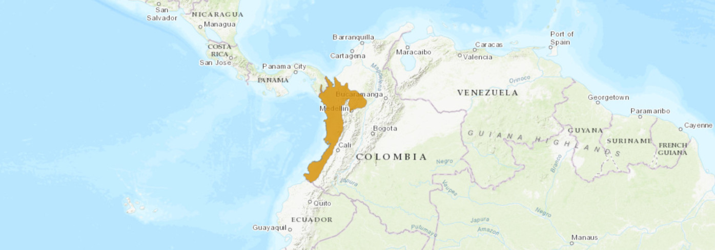 Bothrops punctatus - Serpent venimeux - Trigonocephale / Fer de lance ...